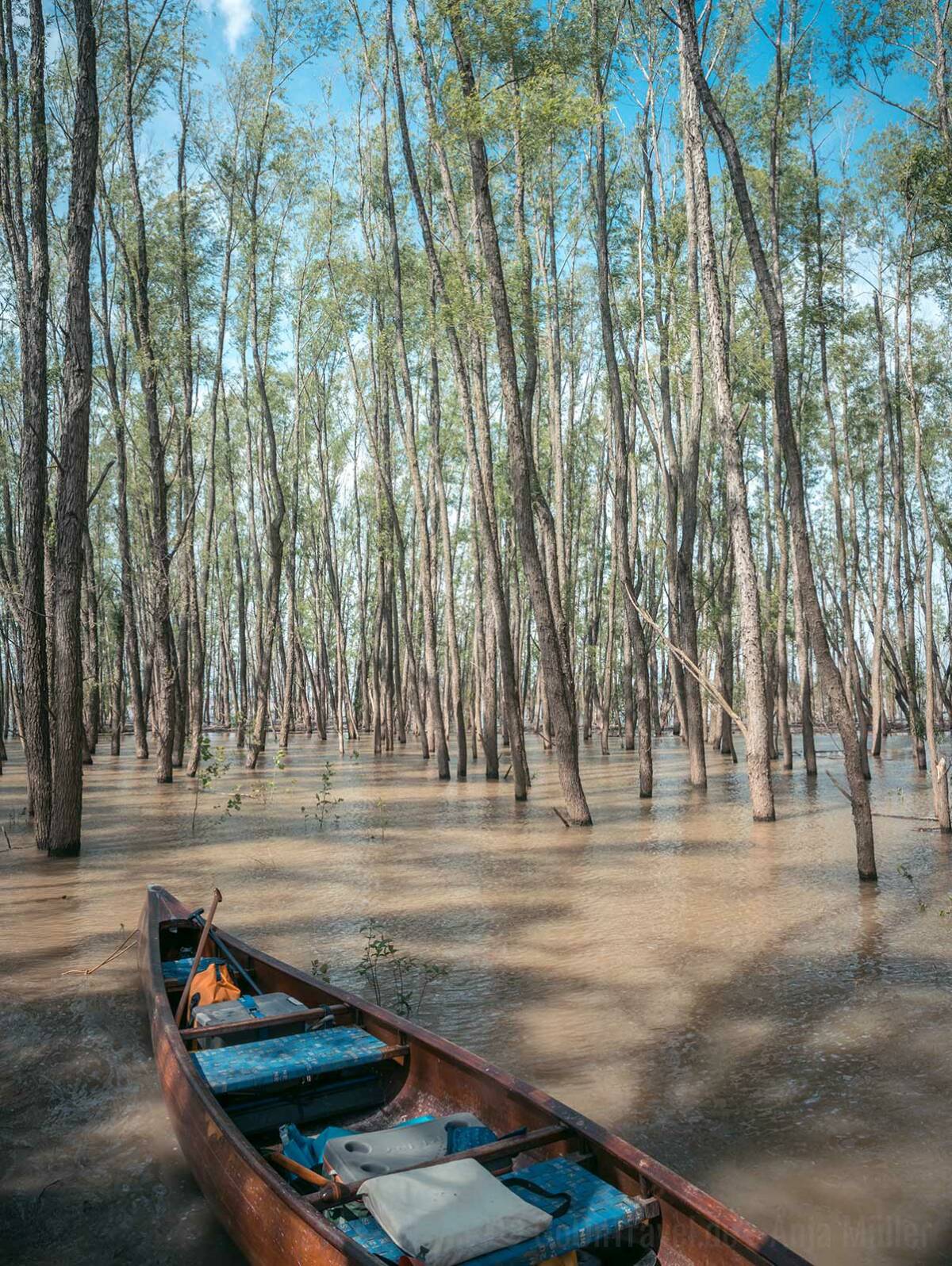 Kanutour auf dem Mississippi River