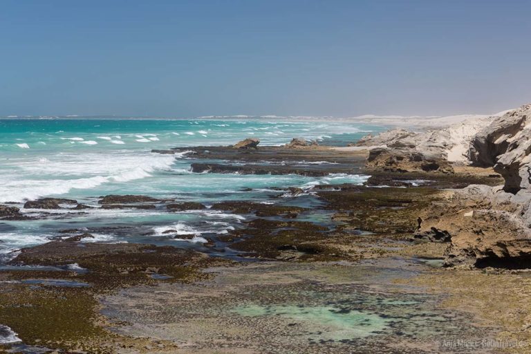 De Hoop Nature Reserve: Geheimtipp in Südafrika
