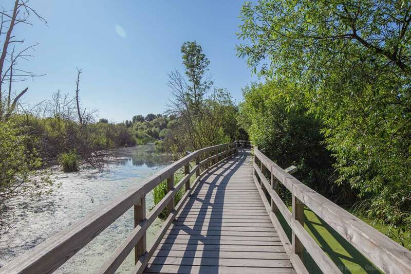 Natur Berlin: 6 wunderschöne Naturoasen [mit Karte]