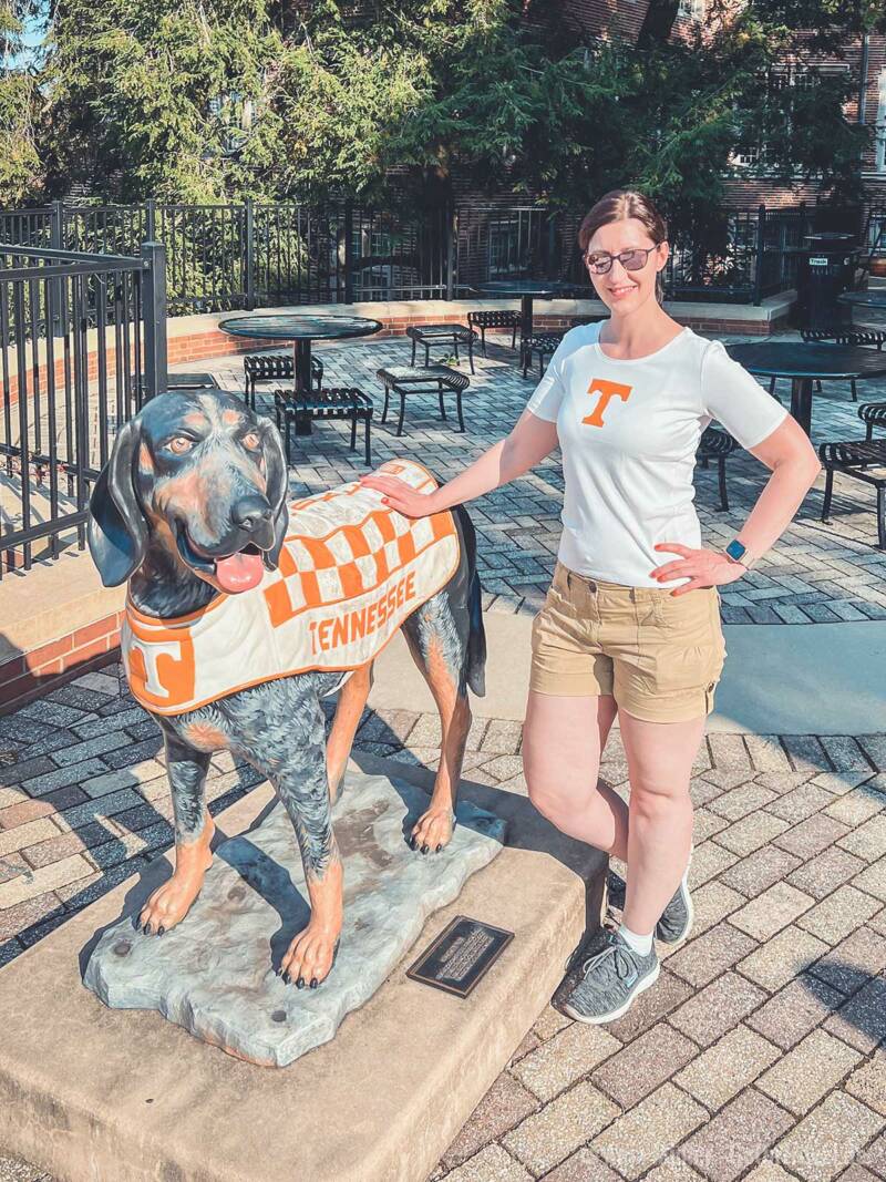 Tennessee Volunteers: American Football in Knoxville erleben